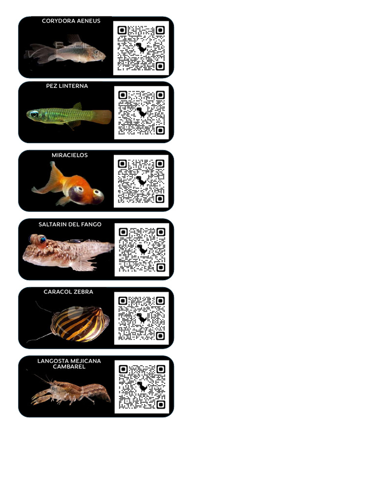 Peces 3 | PDF