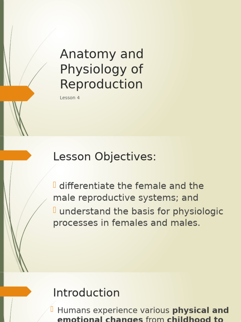 Lesson 4 Anatomy and Physiology of Reproduction | PDF | Clitoris | Vagina