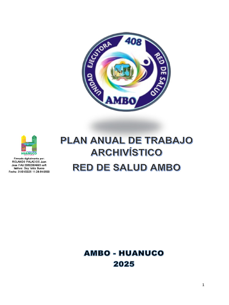 Plan de Trabajo Del Archivo Central Red de Salud Ambo | PDF | Gestión de registros | Presupuesto