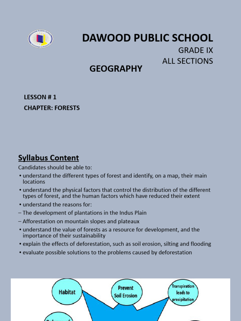 Forests Ppt ( All 4 Lessons) (1).Pptx | PDF | Pine | Forests