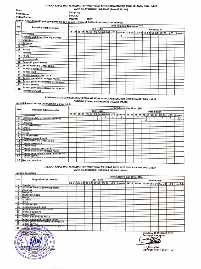 Lap. DM H.amin 1 | PDF