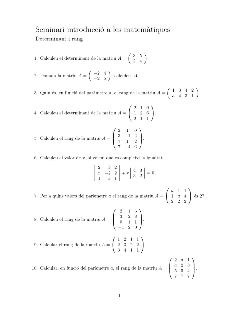 Exercicis Determinant I Rang | PDF