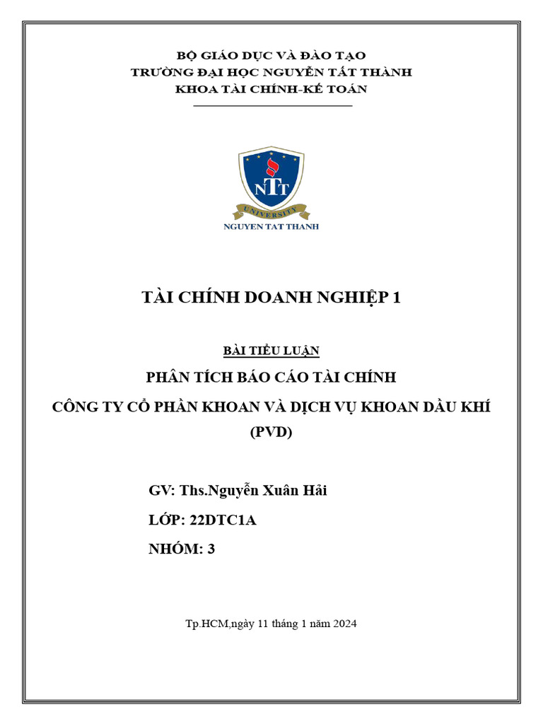 Bài Tiểu Luận TCDN1 - Nhóm 3 - PVD | PDF