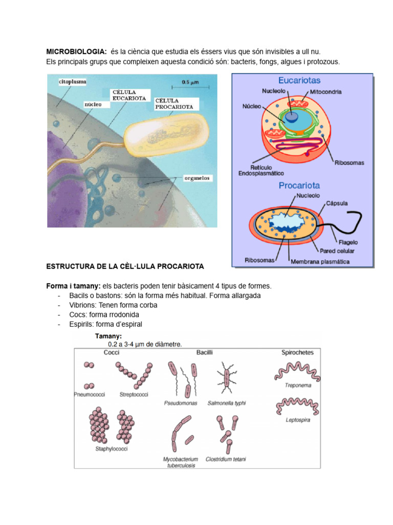 Assajos Microbiològics Apunts | PDF