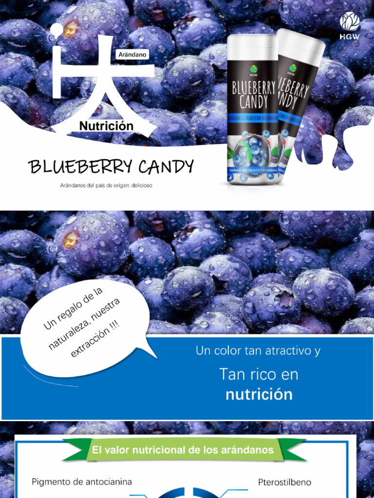 Presentacion Blueberry Candy | PDF