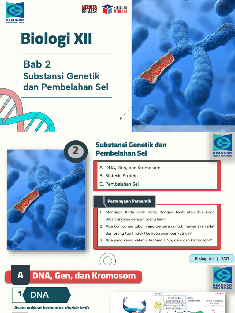 Bab 2 Substansi Genetik dan Pembelahan Sel | PDF