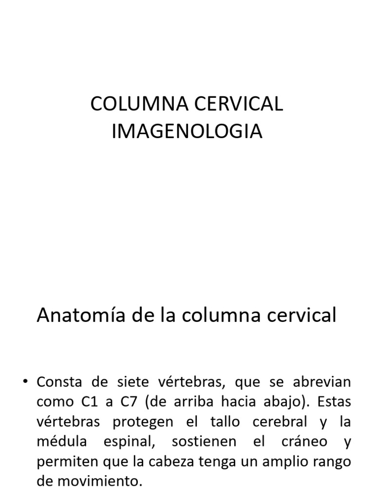 RX Columna Cervical | PDF | La columna vertebral | Vértebra