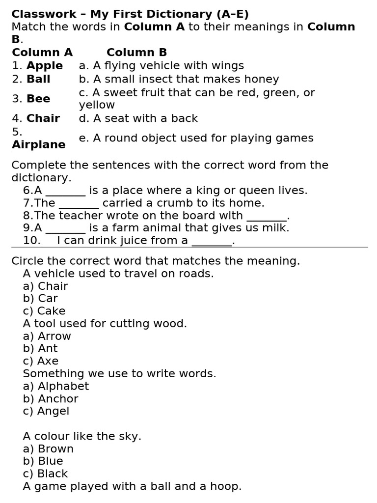 Classwork On My First Dictionary | PDF