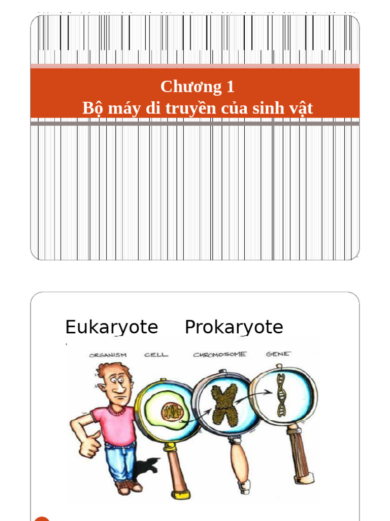 1 SHPT Bộ Máy Di Truyền | PDF