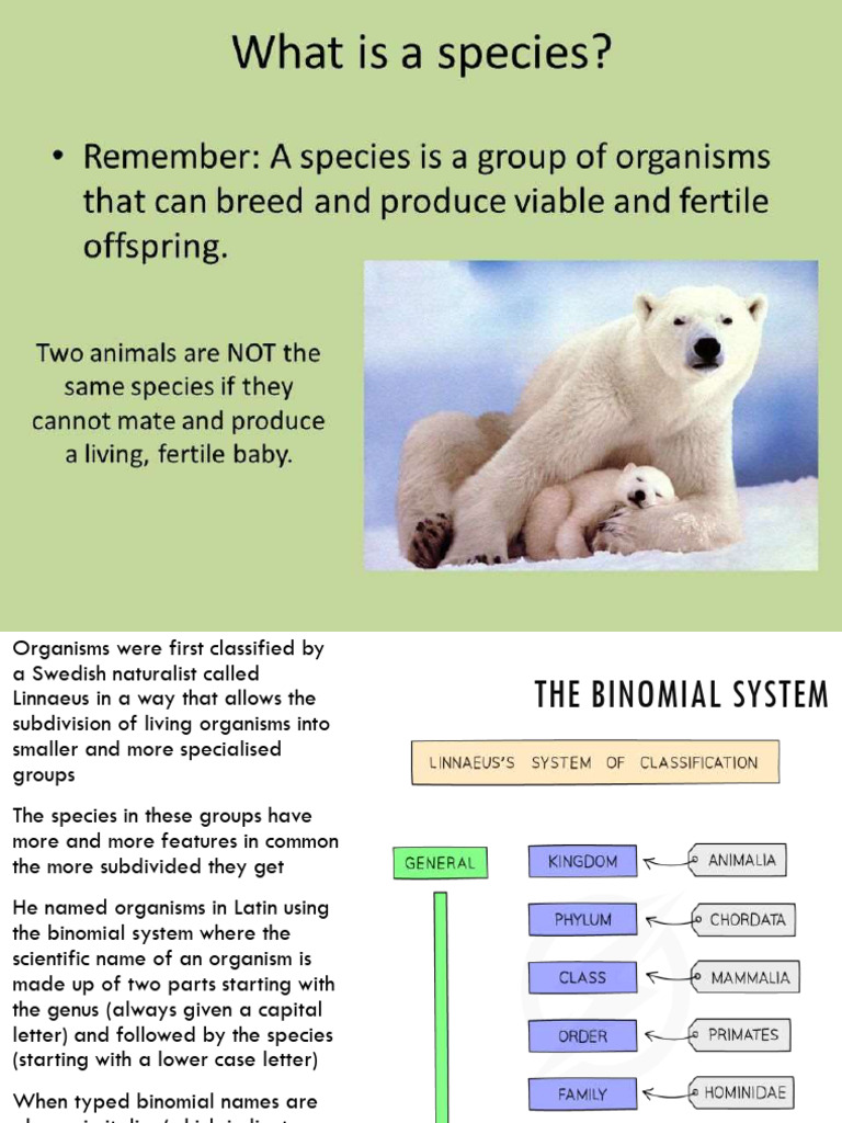 24.06.24-Species and Binomial Classification | PDF