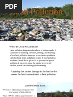 Geography (Land Pollution) Project | PDF