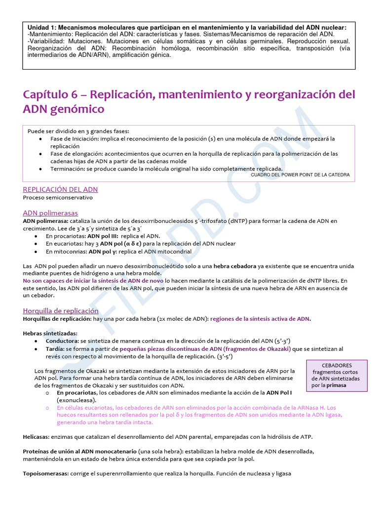 seminario 1 | PDF | Adn | Reparación de adn