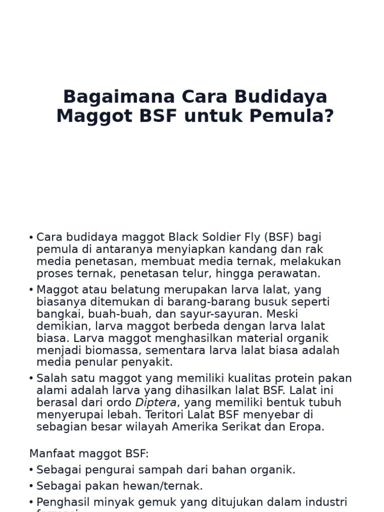 Bagaimana Cara Budidaya Maggot BSF Untuk Pemula | PDF