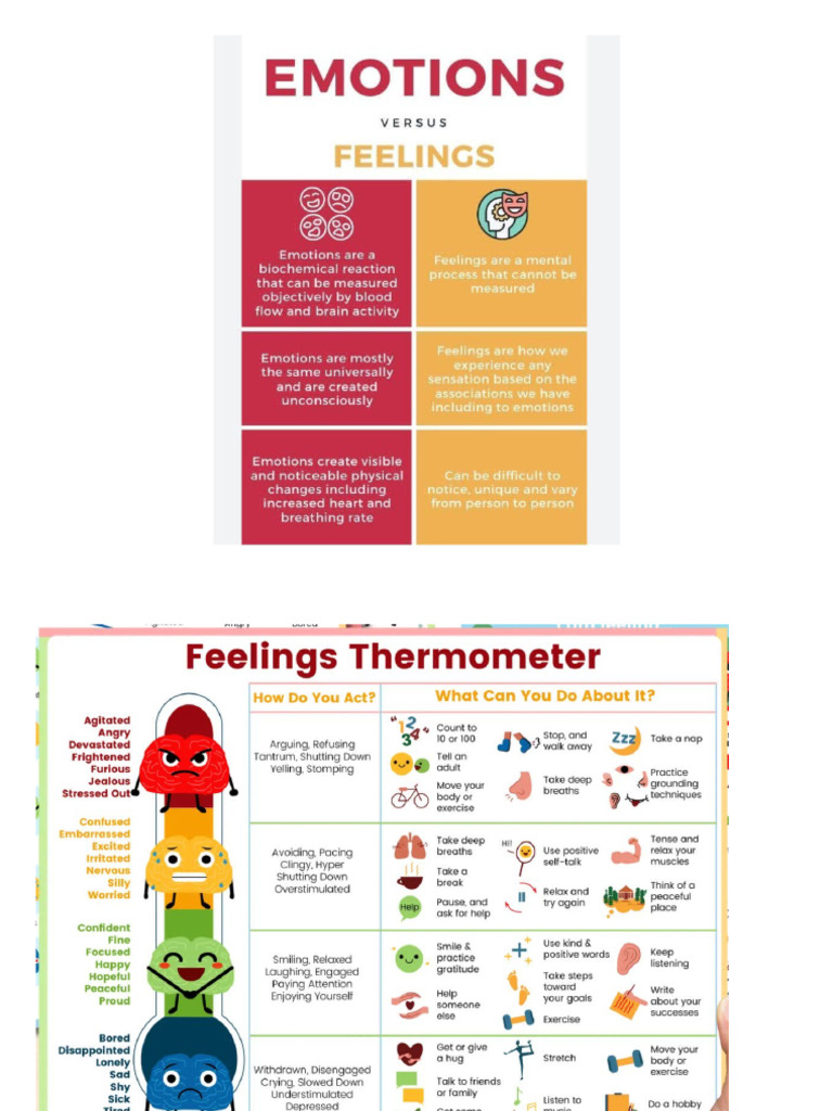 Feelings and Emotions | PDF