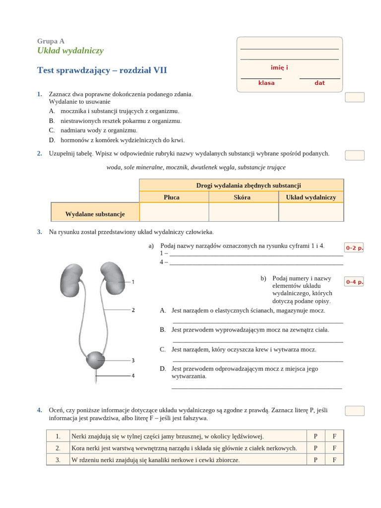 Test Po Dziale 7 Uklad Wydalniczy | PDF