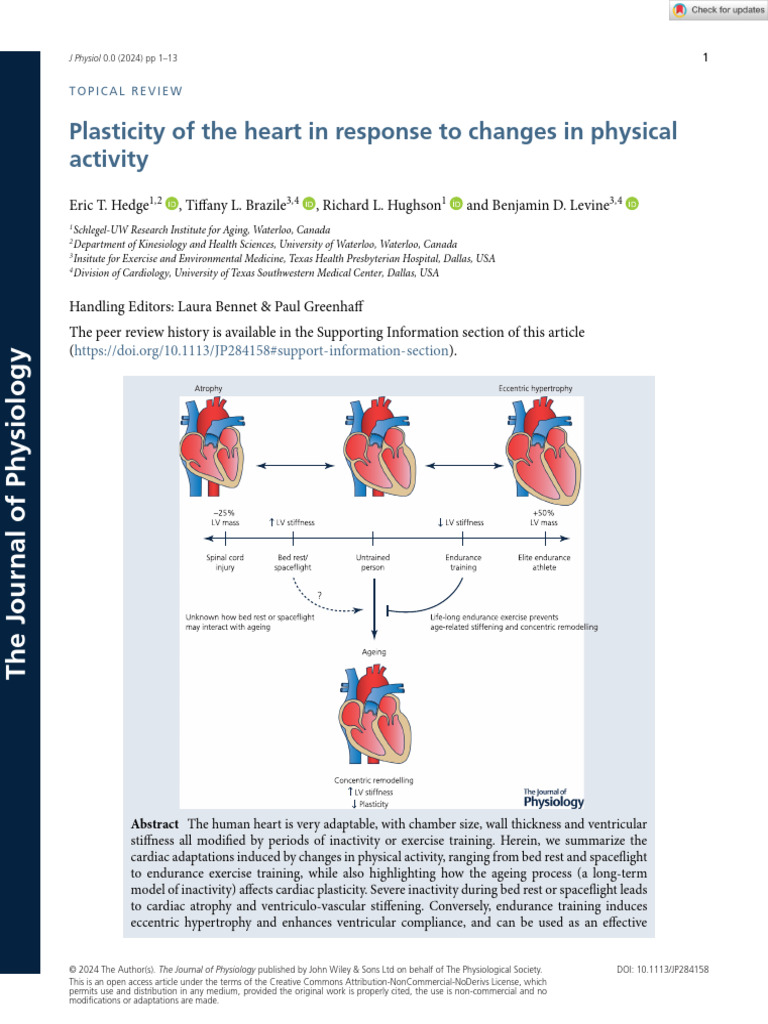 The Journal of Physiology - 2024 - Hedge - Plasticity of The Heart in ...