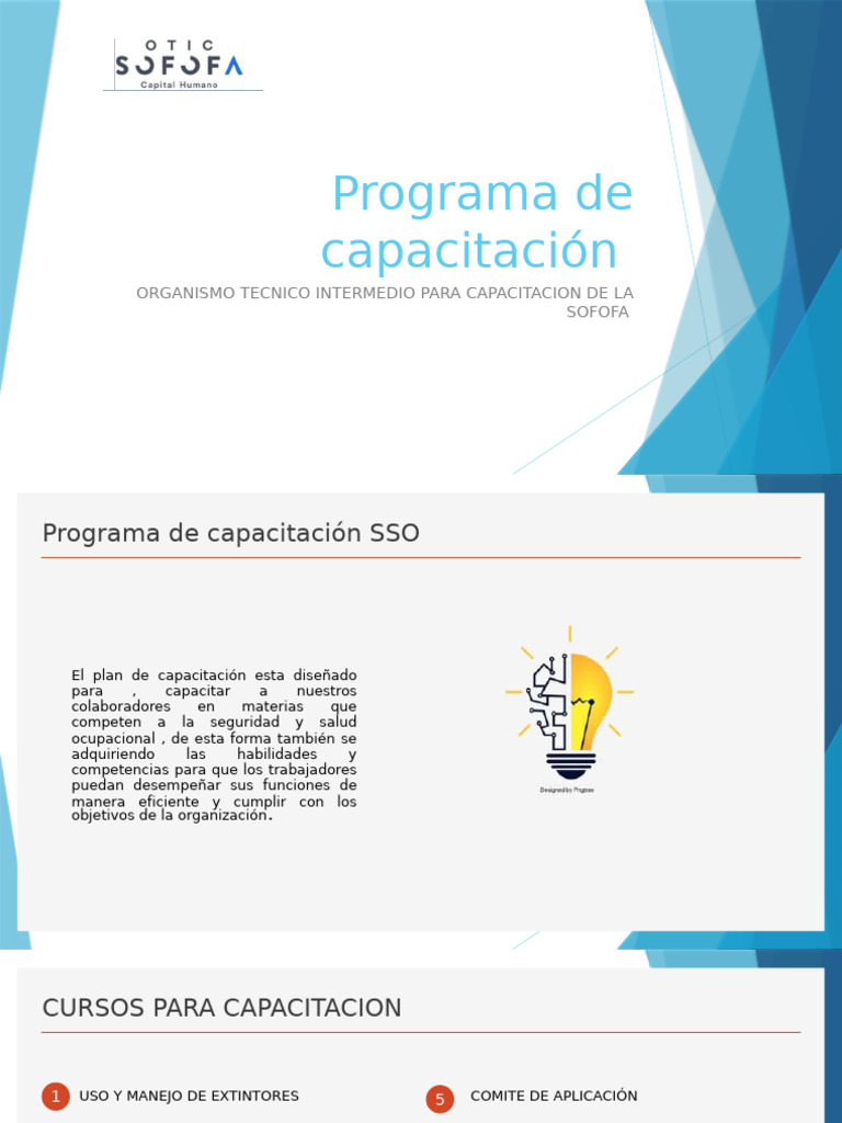 Programa de Capacitación | PDF | Educación vocacional