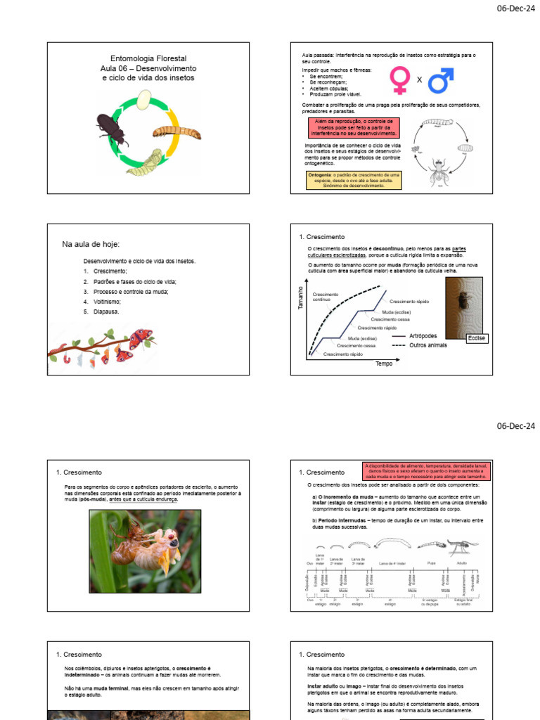 Ciclo de Vida e Desenvolvimento de Insetos | PDF | Insetos | Zoologia