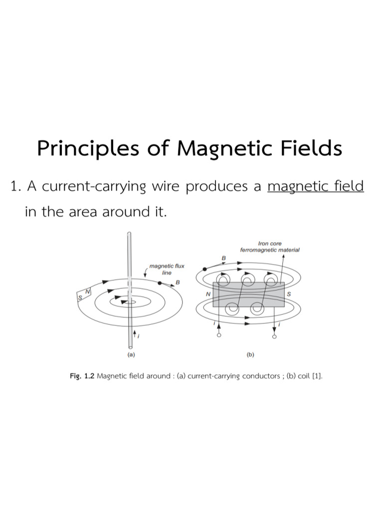 Principle of Magnatic Field | PDF