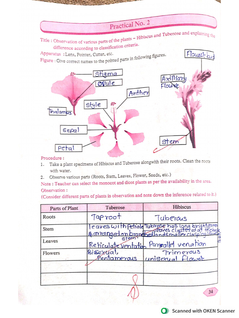 Science 2, 9th, Practical | PDF