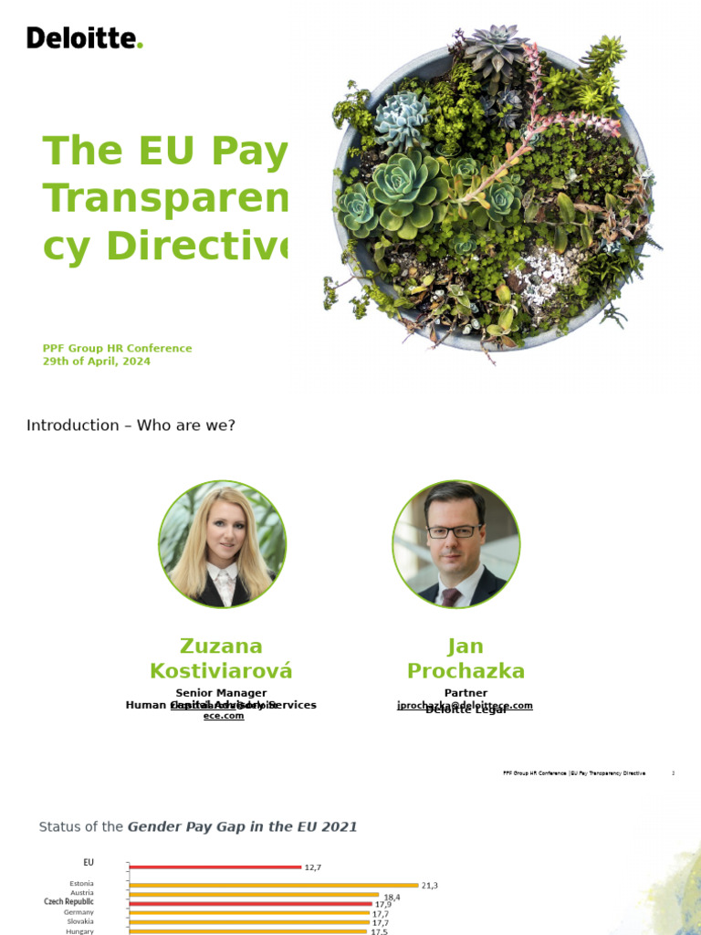 PPF - EU Pay Transparancy Directive FINAL - 02 | PDF | Gender Pay Gap ...