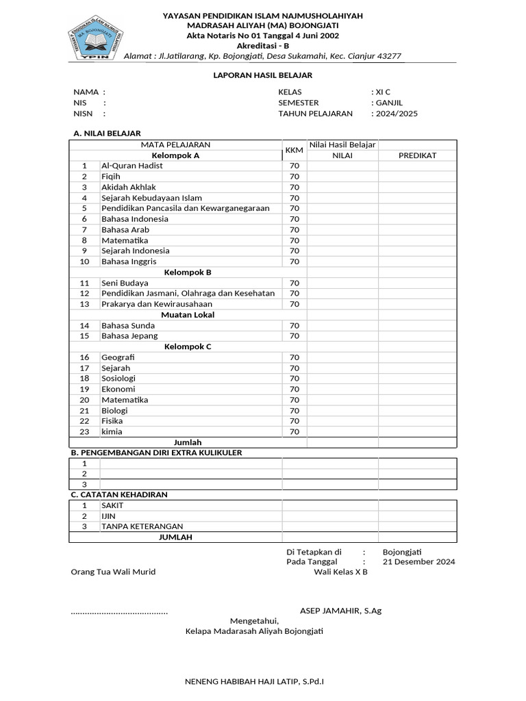 Template Raport | PDF