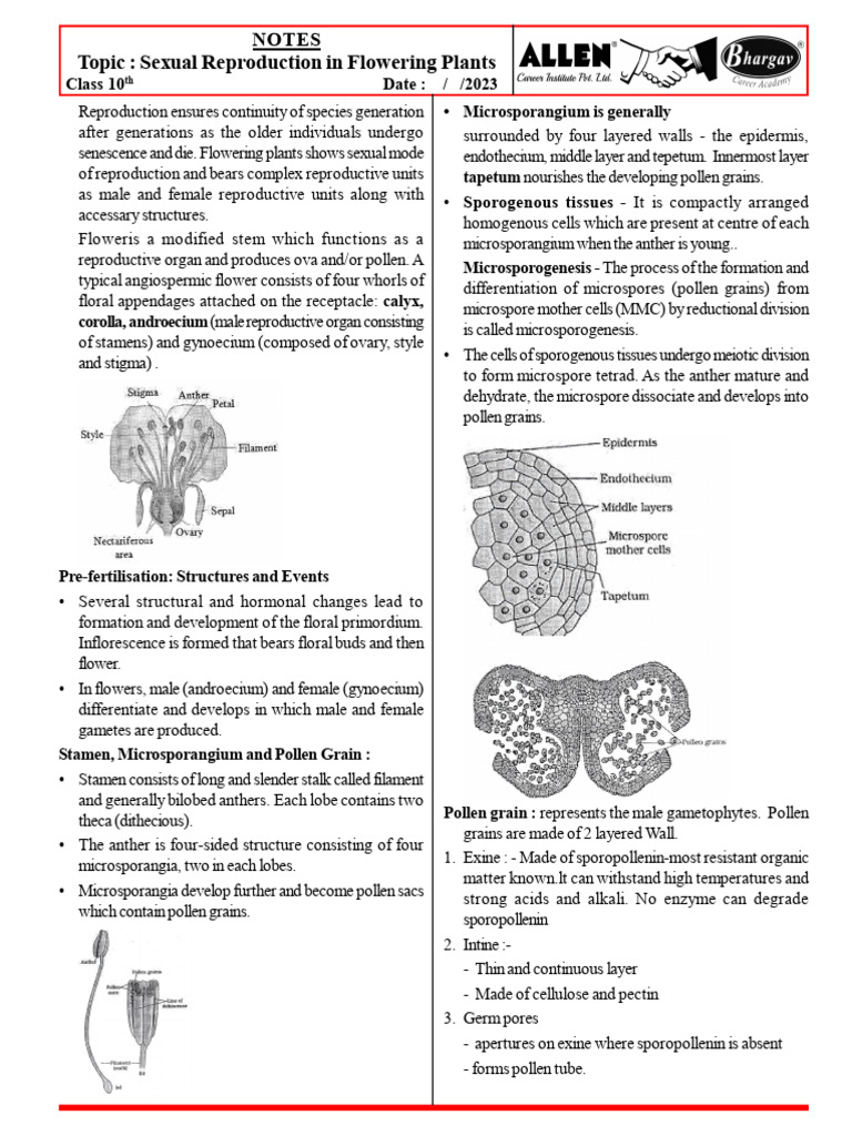 Sexual Reproduction in Flowering Plants | PDF | Seed | Pollination