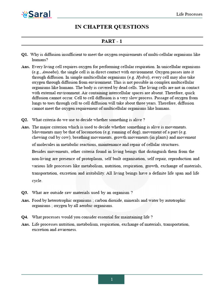 Life Processes NCERT V2.3 | PDF | Circulatory System | Lymph