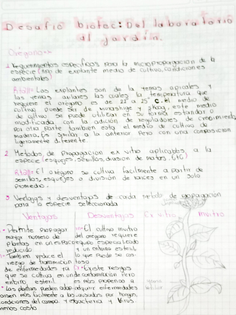 Desafío Biotec | PDF