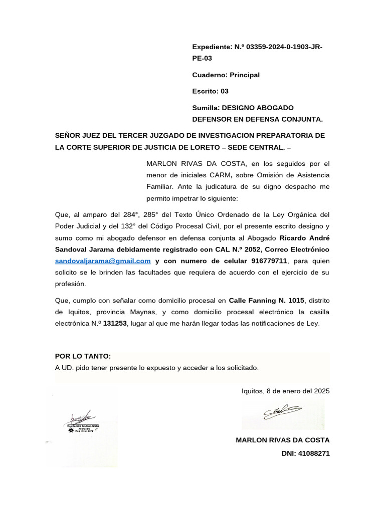 3359-2024-0-JR-PE-Designo abogado en defensa conjunta - | PDF