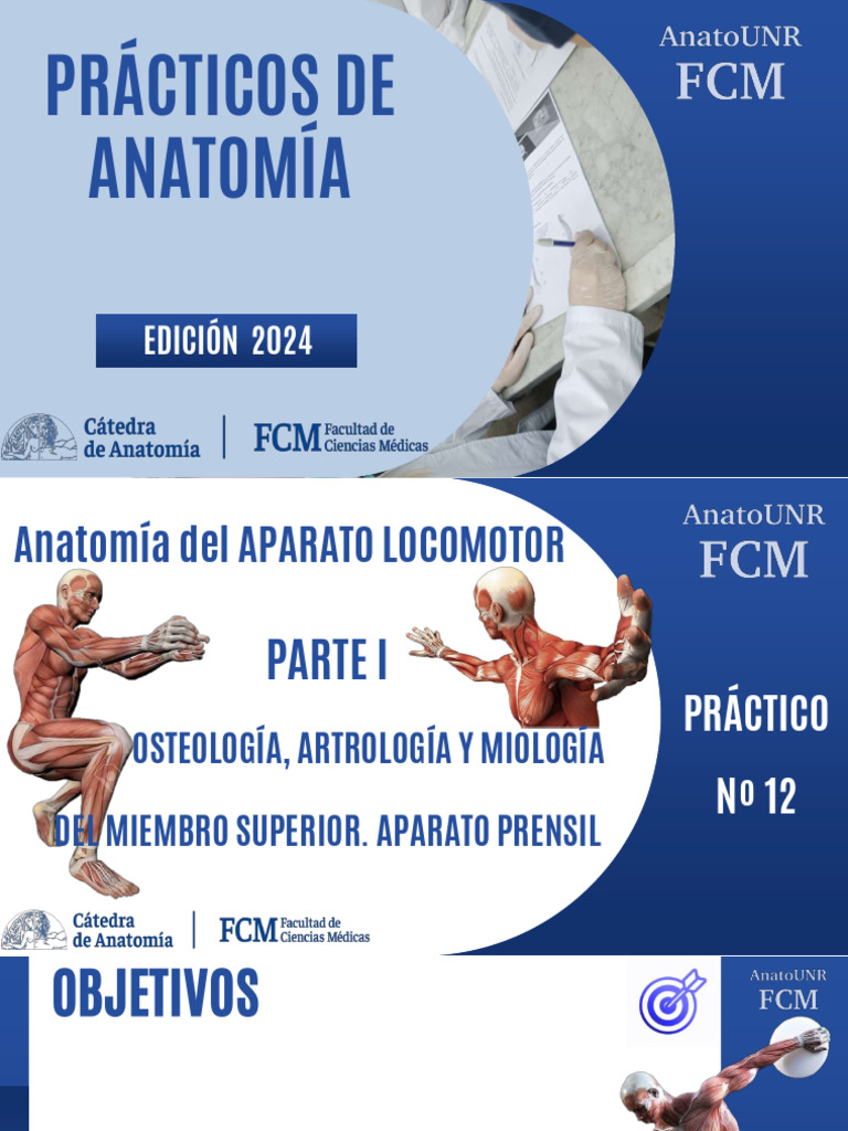 Trabajo Práctico de Anatomía. Cyd 2024. Osteología, Artrología y ...