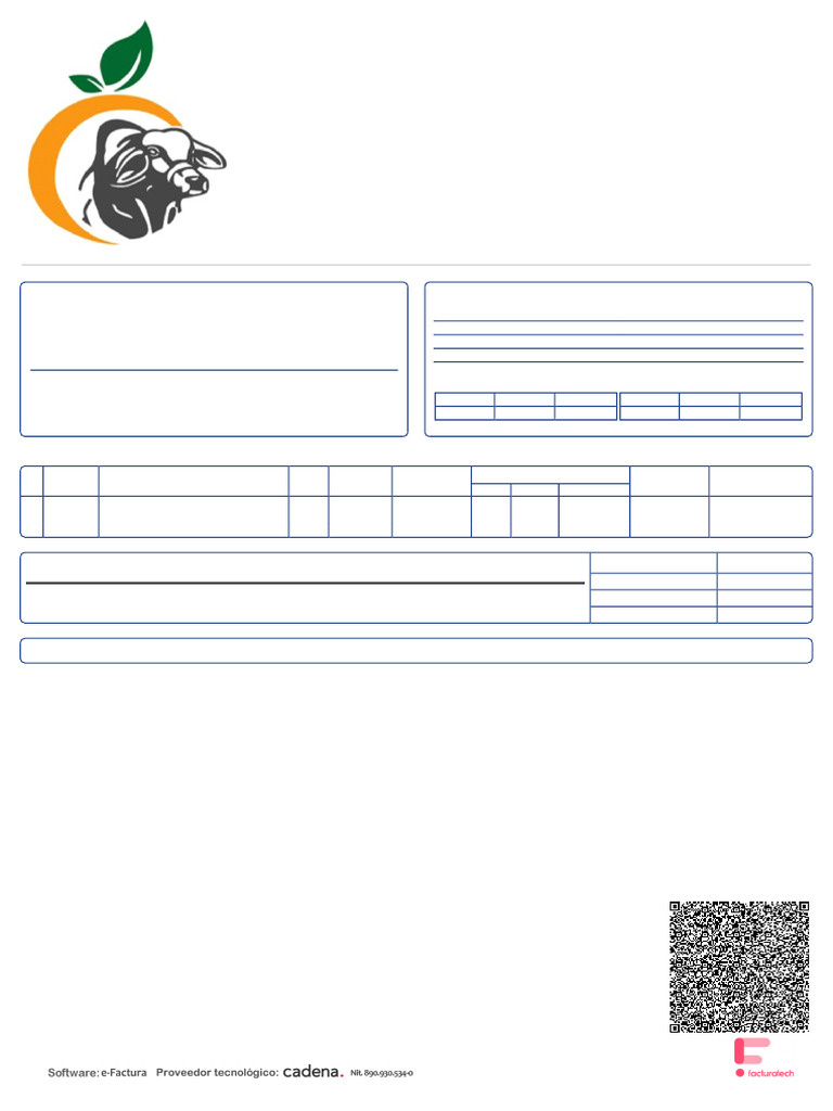 Dian FP66 | PDF | Pagos