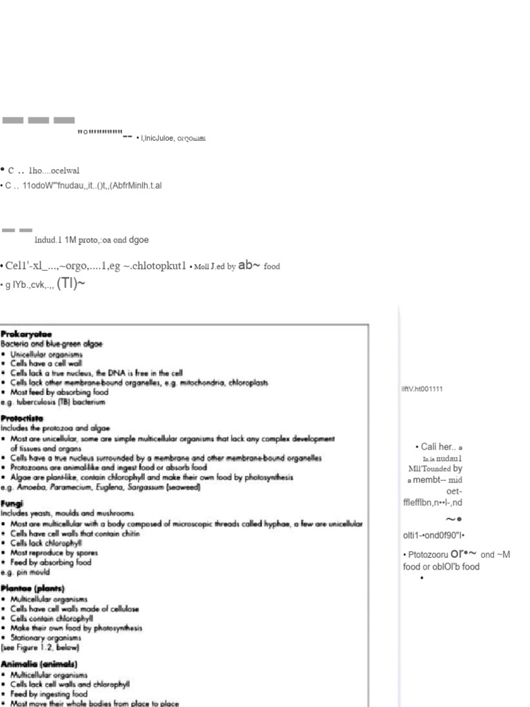 Classification Chart | PDF