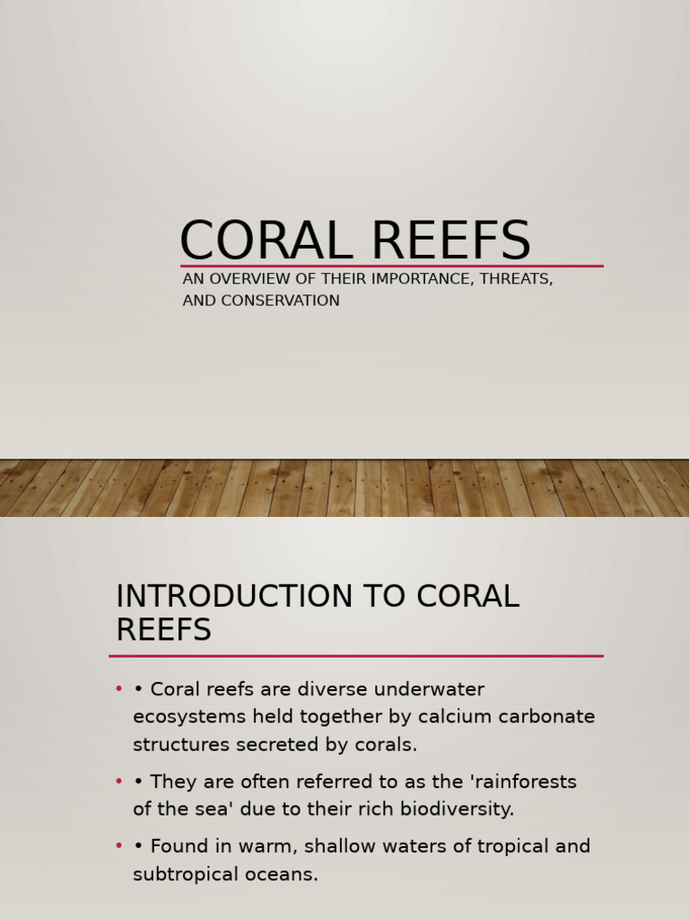 Importance and Conservation of Coral Reefs | PDF