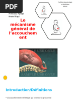 Anatomie du ligament large utérin | PDF | Utérus | Péritoine