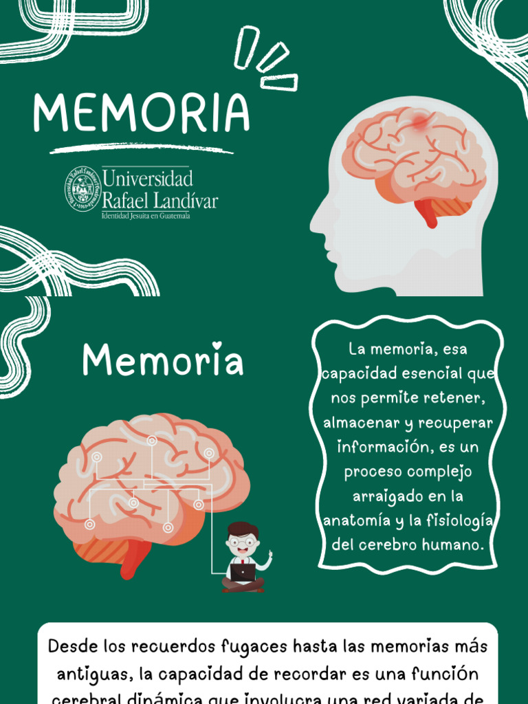 Estructuras y Tipos de Memoria Humana | PDF | Memoria | Cerebro