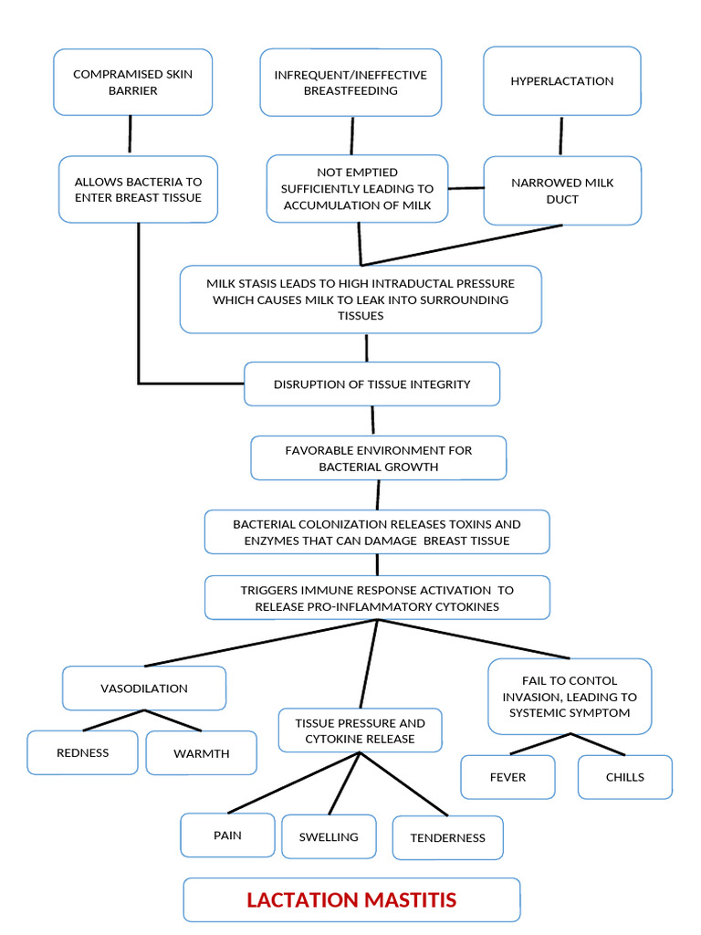 LACTATION MASTITIS_042755 | PDF