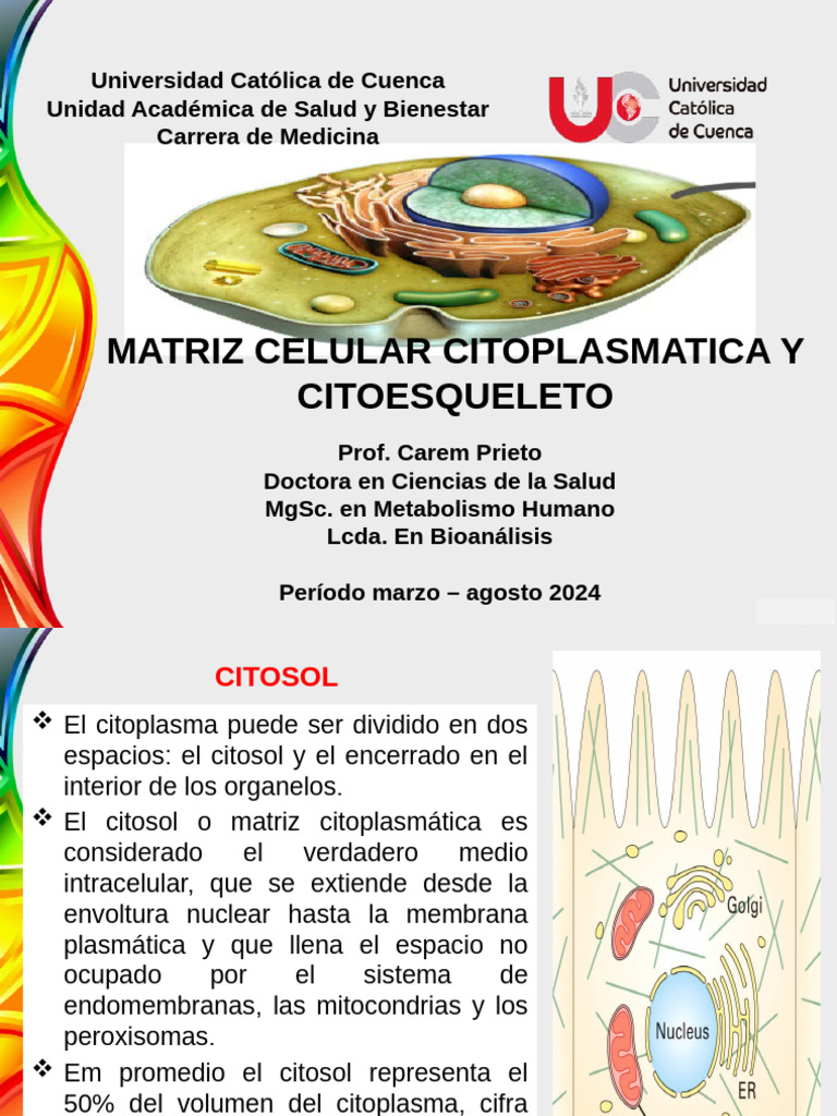 Matriz Celular y Citoesqueleto en Células | PDF | Microtúbulos | Actina