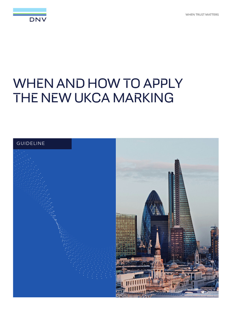 UKCA Step by Step Document 28082021 | PDF