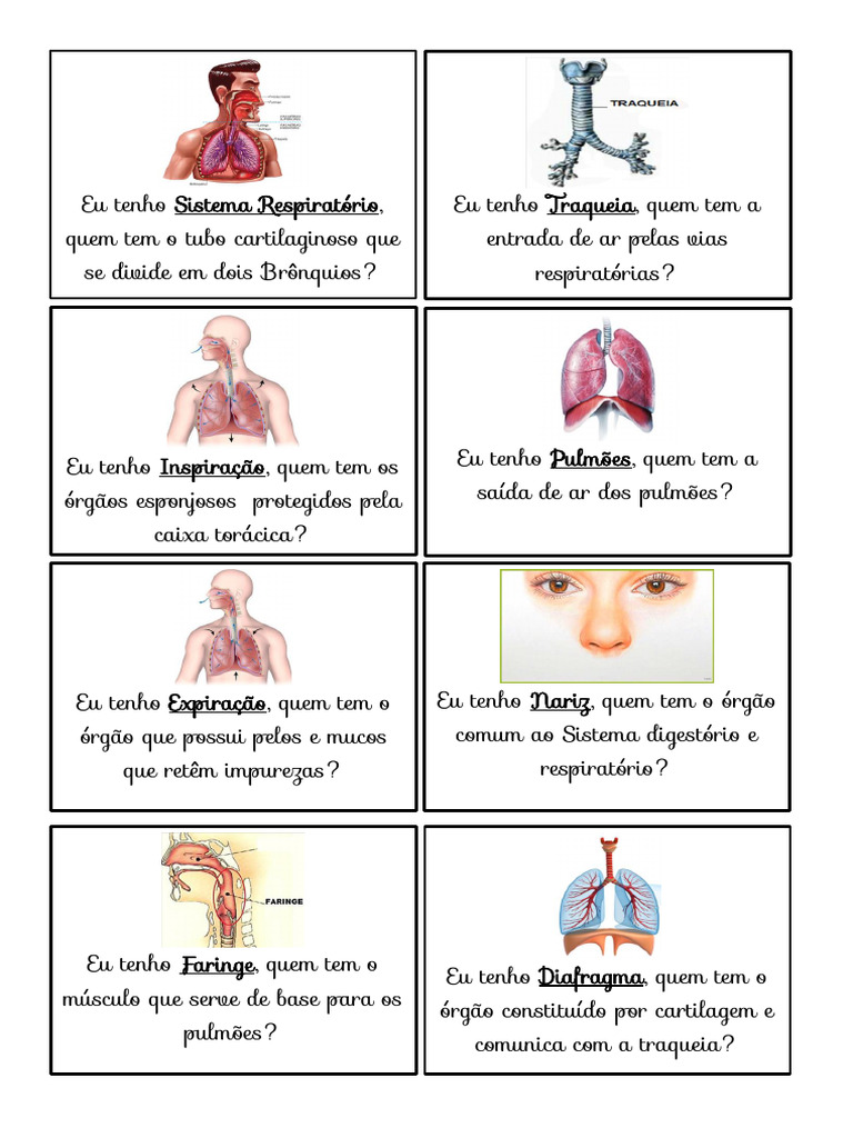 Eu tenho quem tem, Sistema respiratório | PDF | Sistema respiratório ...