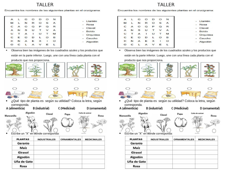 Taller Plantas Adatacion | PDF