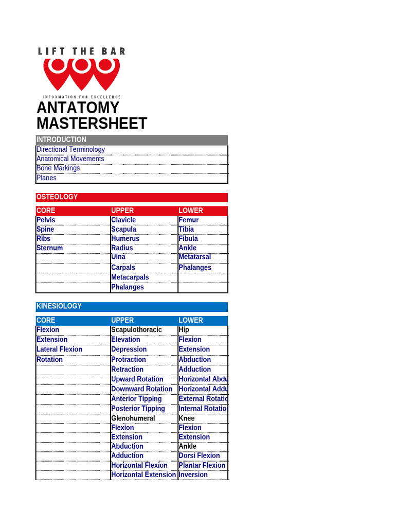 LTB Anatomy Mastersheet 1 | PDF | Anatomical Terms Of Motion | Elbow