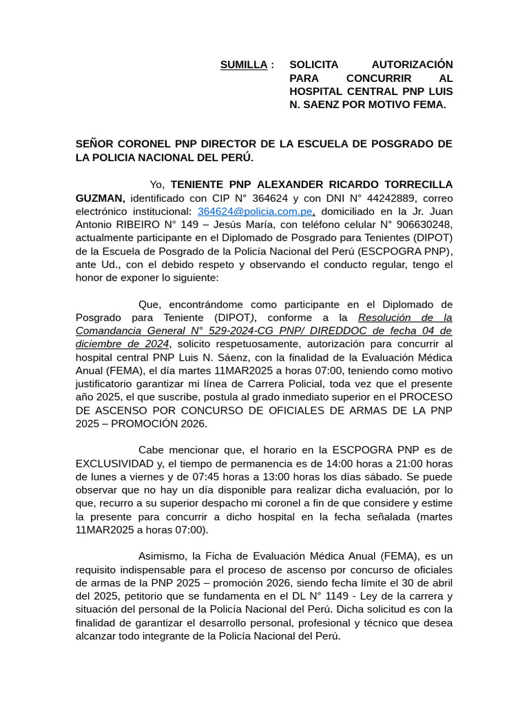 Solicitud Dipot Fema Torriccilli | PDF | Policía