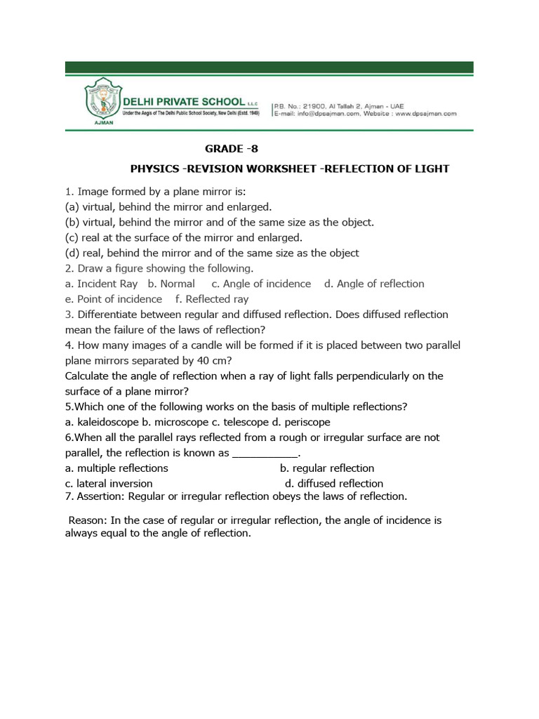 Reflection - Revision Annual | PDF