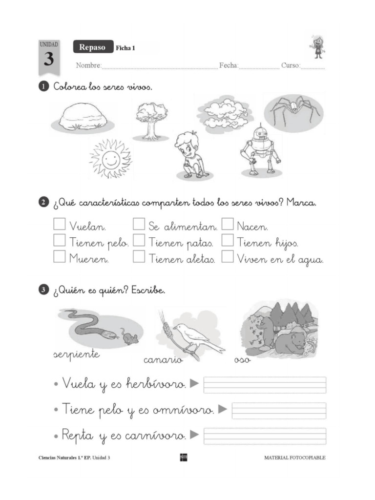 Actividades Cuarto Grado | PDF