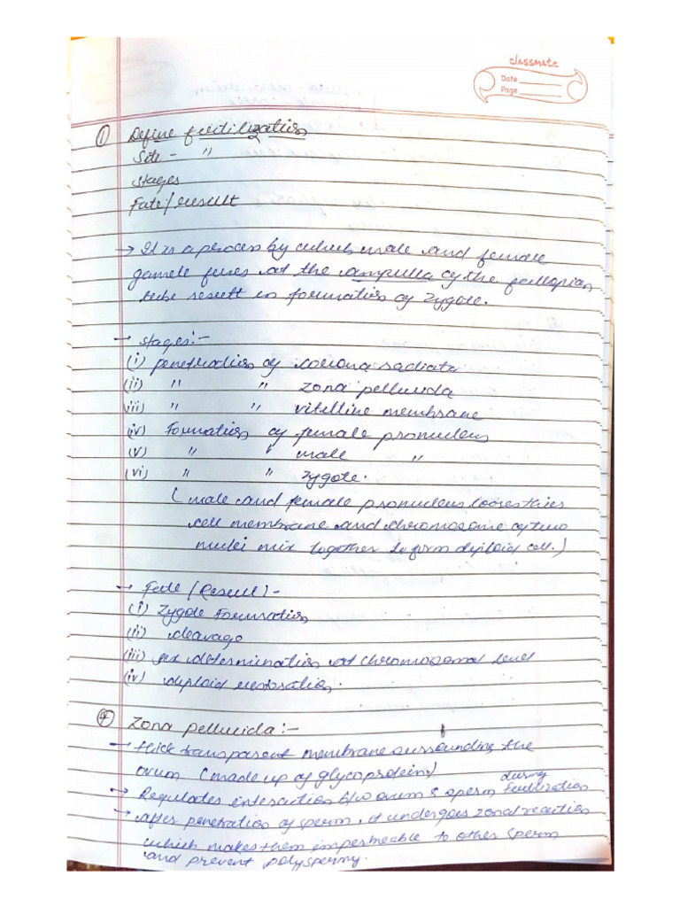Anatomy Practical Pdf