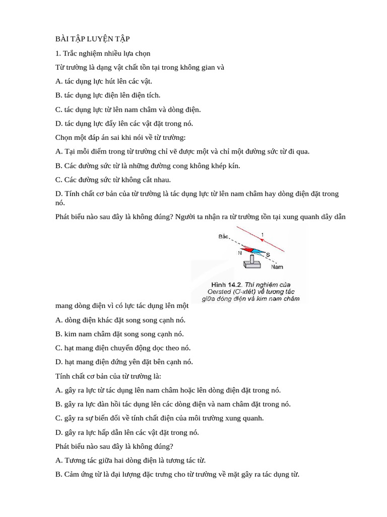 T Trư NG Đư NG S C T | PDF