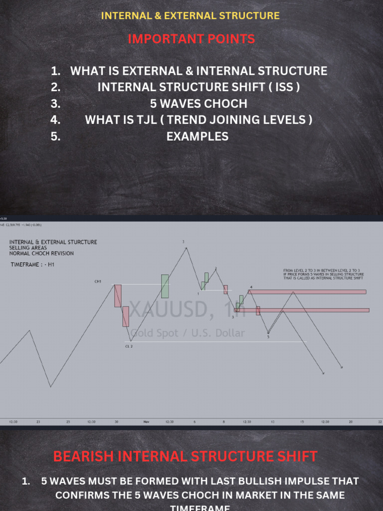 Internal & External Structure | PDF