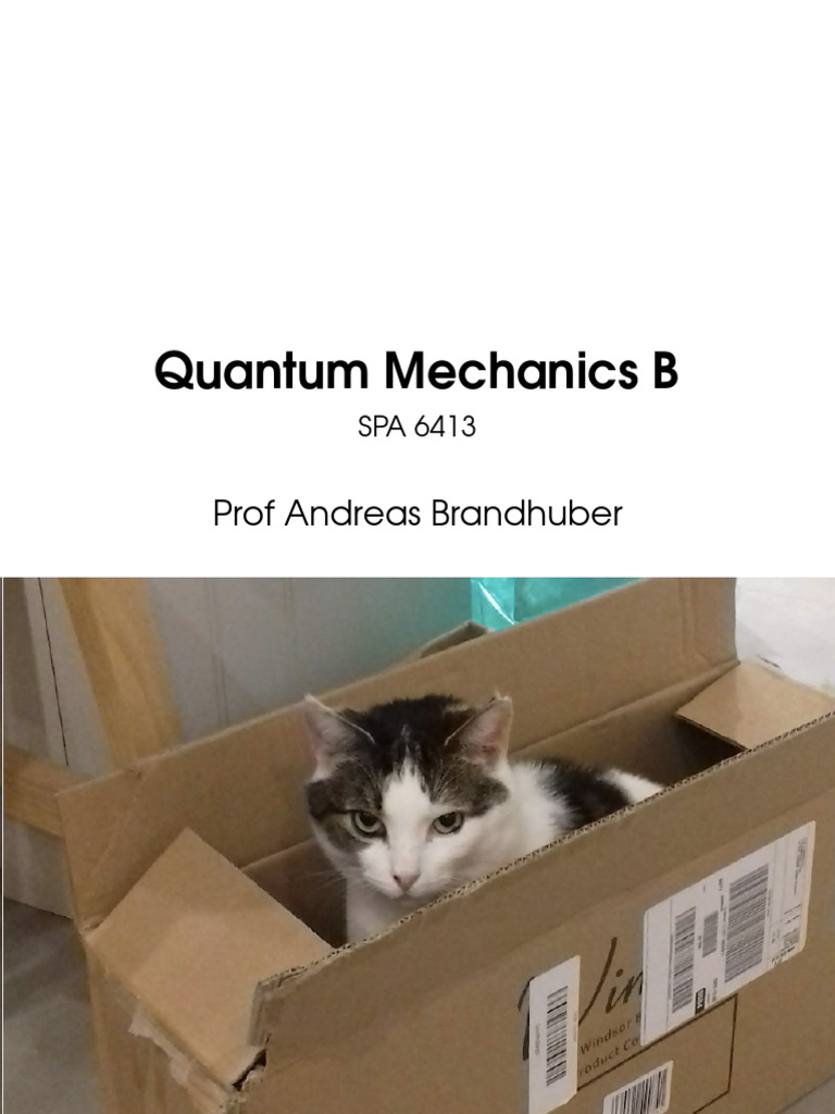 QM Book | PDF | Spin (Physics) | Wave Function