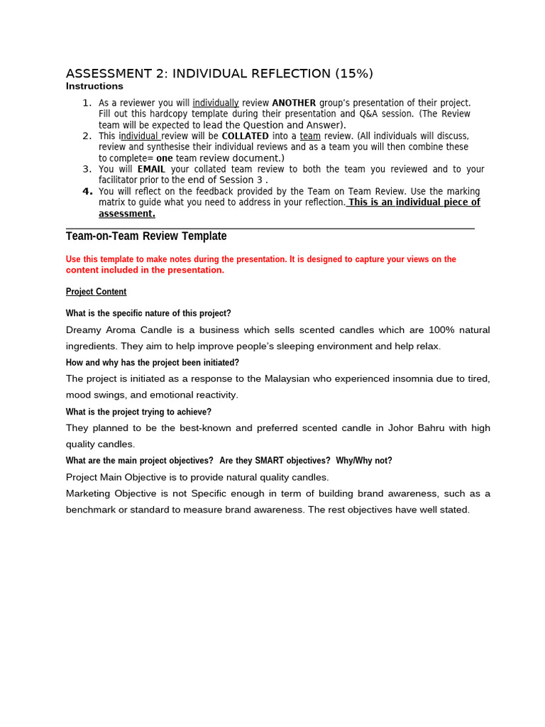 Project Peer Review Template | PDF | Information | Communication